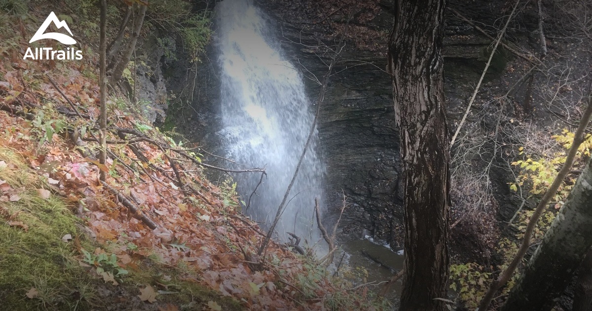 I migliori sentieri nei boschi in Indian Fort Nature Preserve | AllTrails