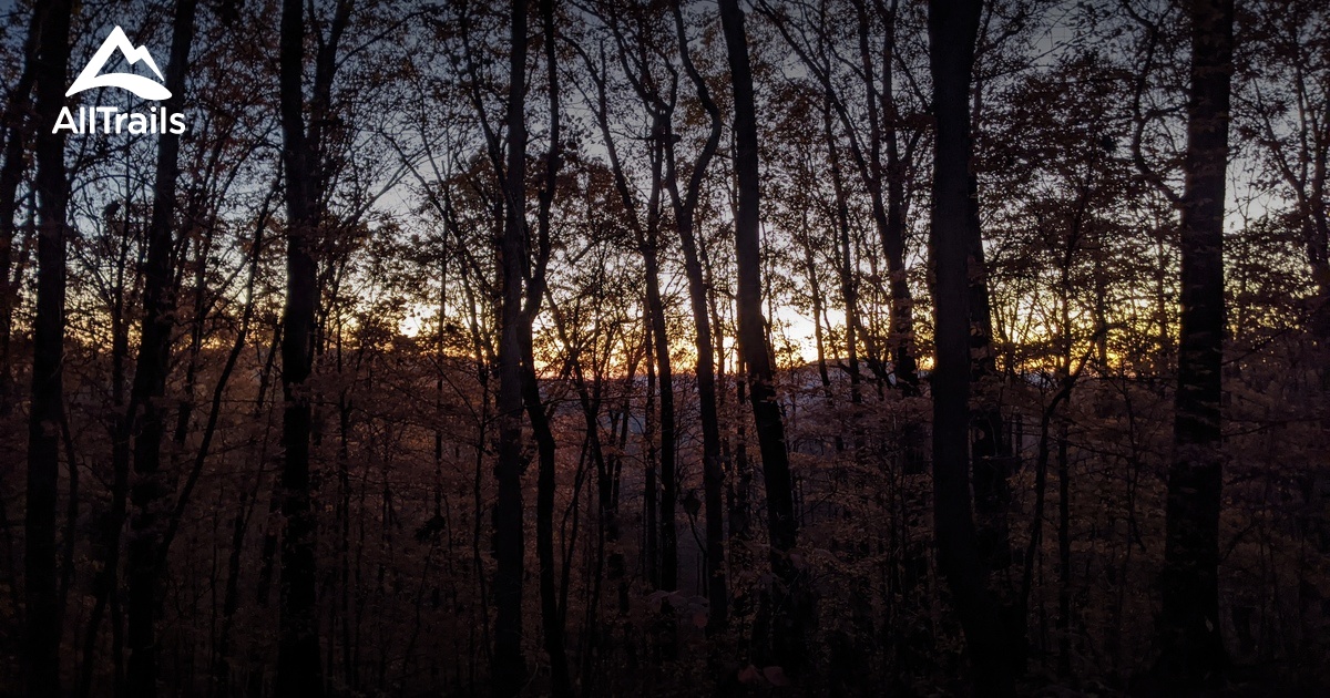 Best hikes and trails in Camp Tuscazoar | AllTrails