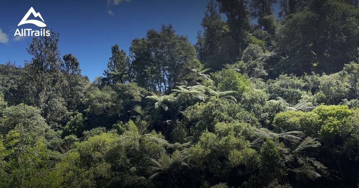 Best hikes and trails in Ōhope Scenic Reserve | AllTrails