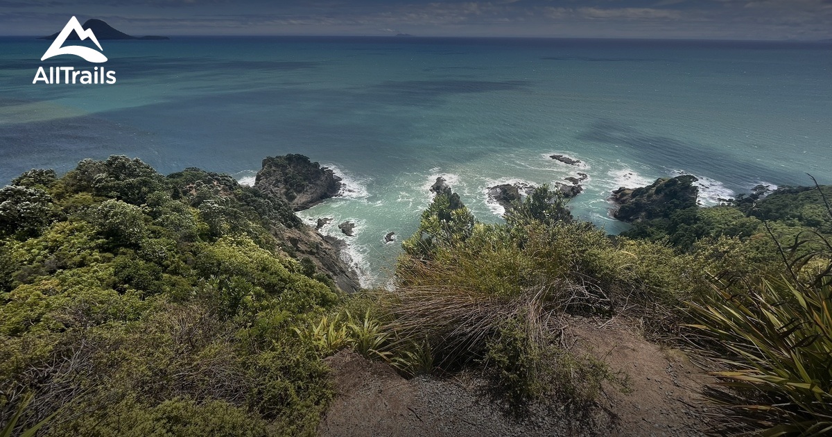 Best hikes and trails in Kōhī Point Scenic Reserve | AllTrails