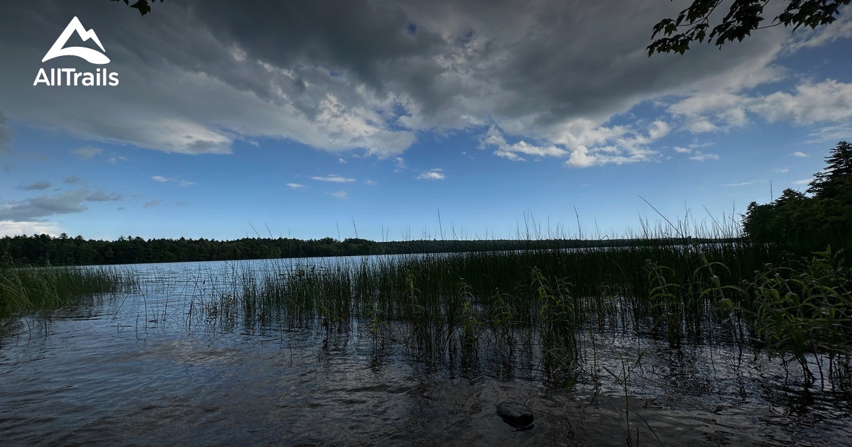 Best hikes and trails in Doyle Preserve | AllTrails