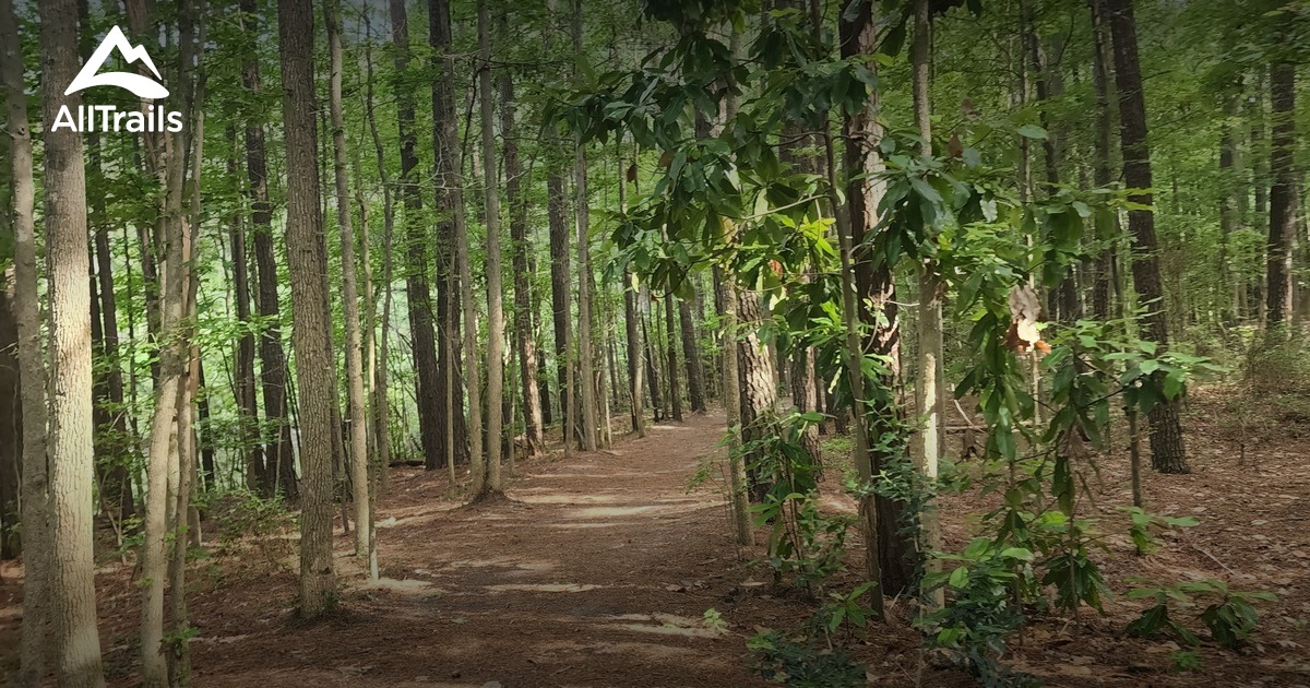Best hikes and trails in Marshview Park | AllTrails