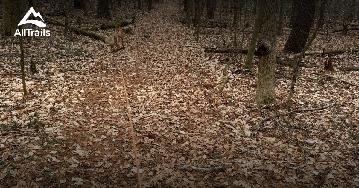 Best hikes and trails in Miller Woods | AllTrails