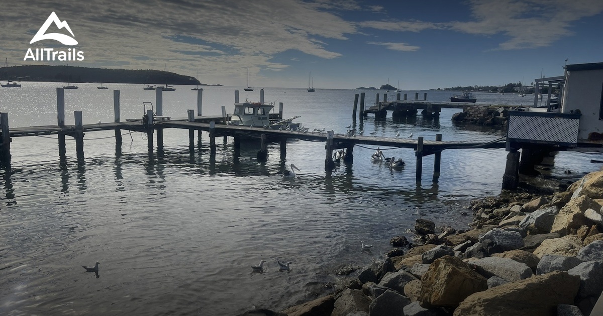 10 Best hikes and trails in Batemans Marine Park | AllTrails