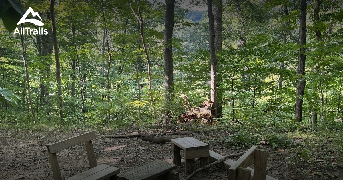 De 10 bästa barnvänliga lederna i Rock Creek Park and Piney Branch ...