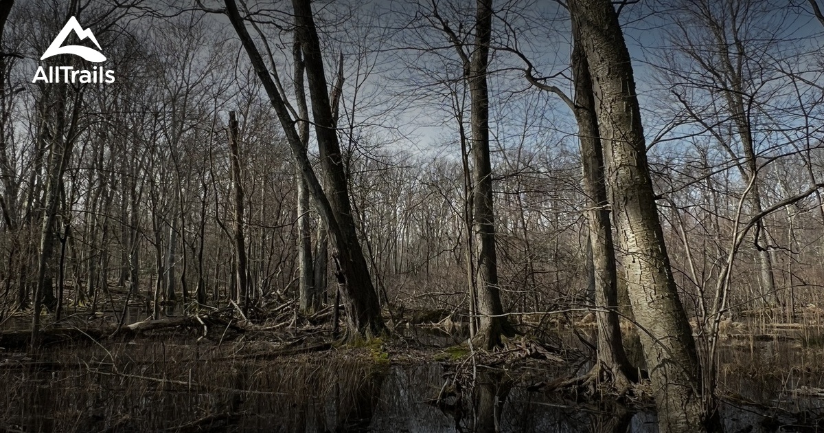 Best lake trails in James A. McFaul Environmental Center | AllTrails