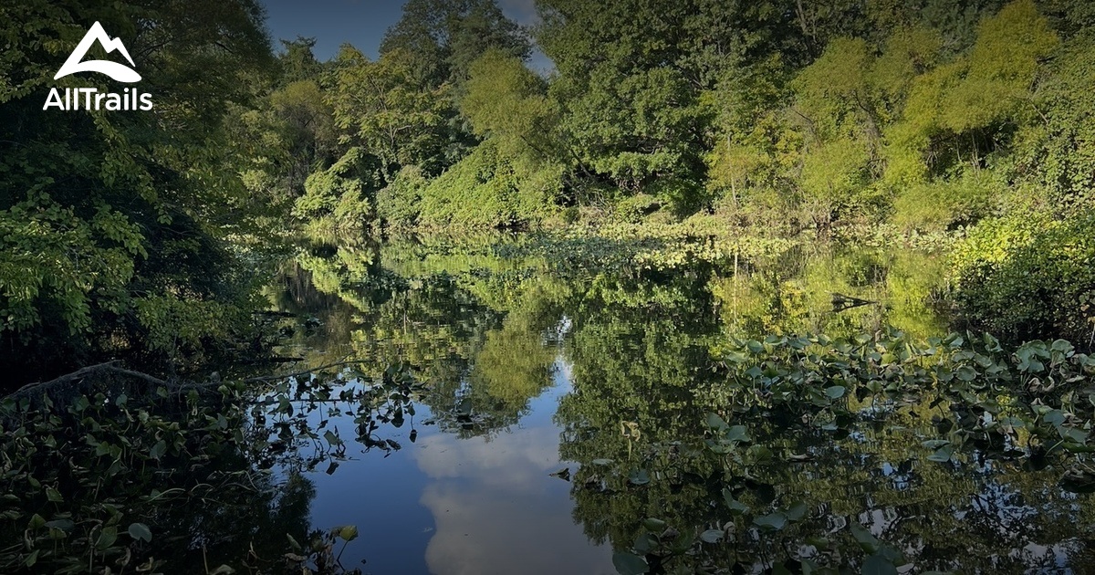 Best hikes and trails in Tanglewood Park and Preserve | AllTrails