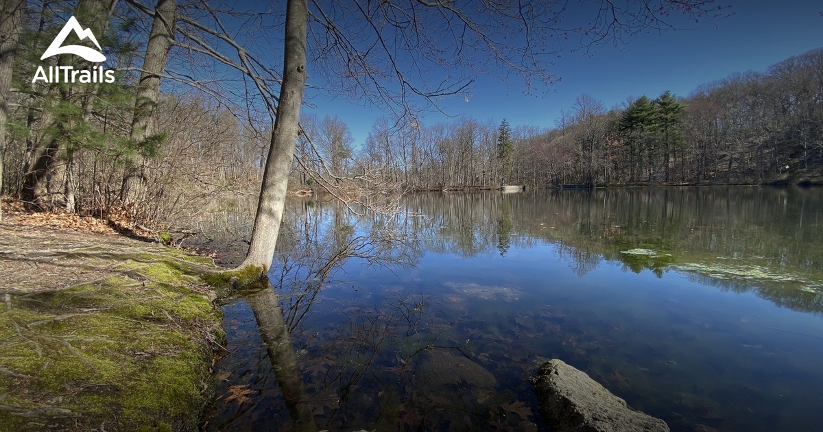 Best hikes and trails in Upper Francis Pond Preserve | AllTrails