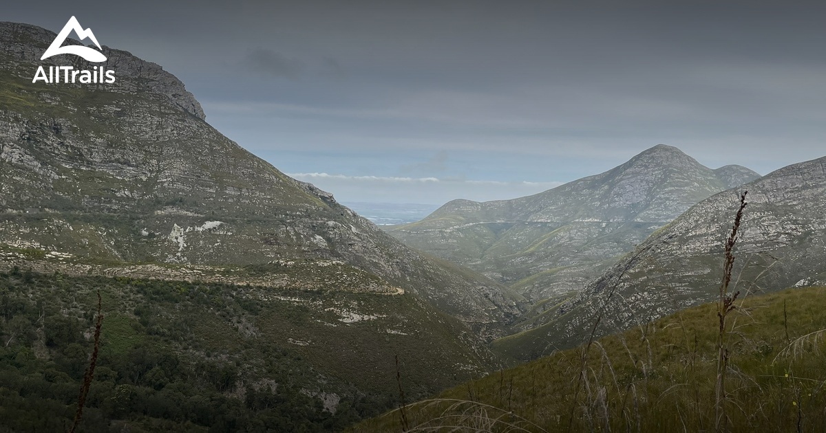 Best dog-friendly trails in Garden Route Biosphere Reserve | AllTrails