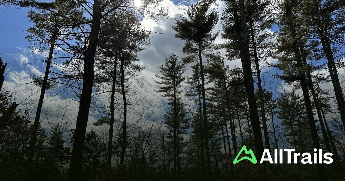 Best hikes and trails in Timberlake Conservation Land | AllTrails