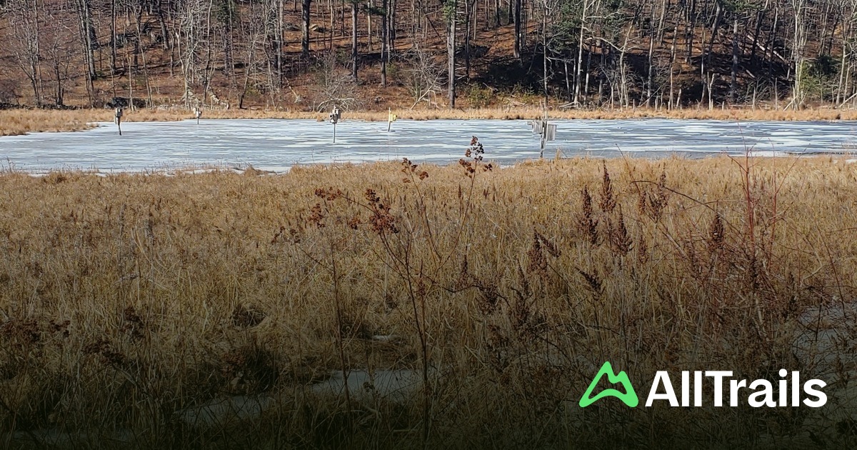 Best hikes and trails in Richardson Wildlife Management Area | AllTrails