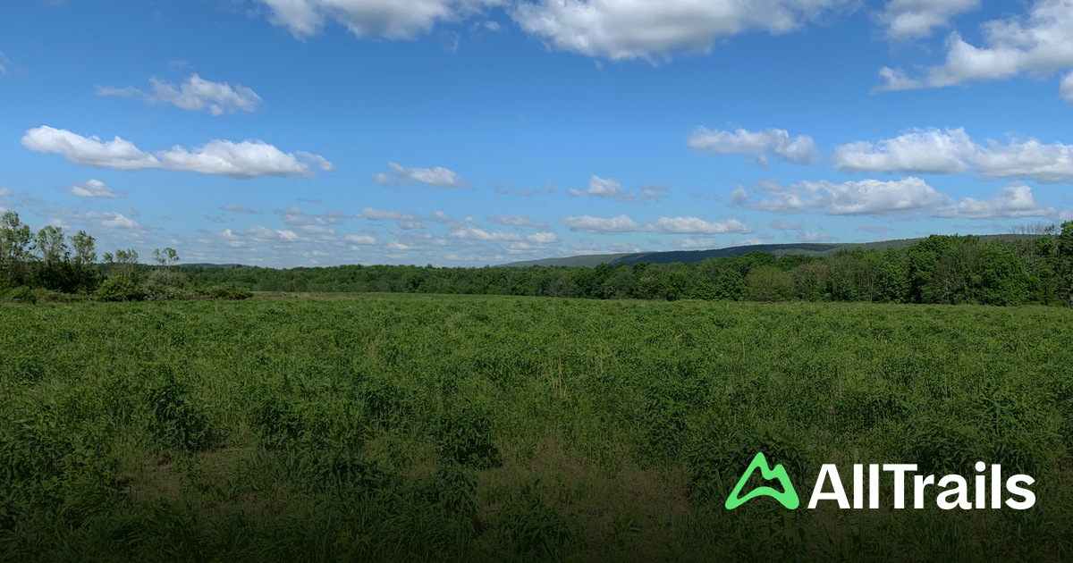 Best hikes and trails in Ballas Meadow Preserve | AllTrails