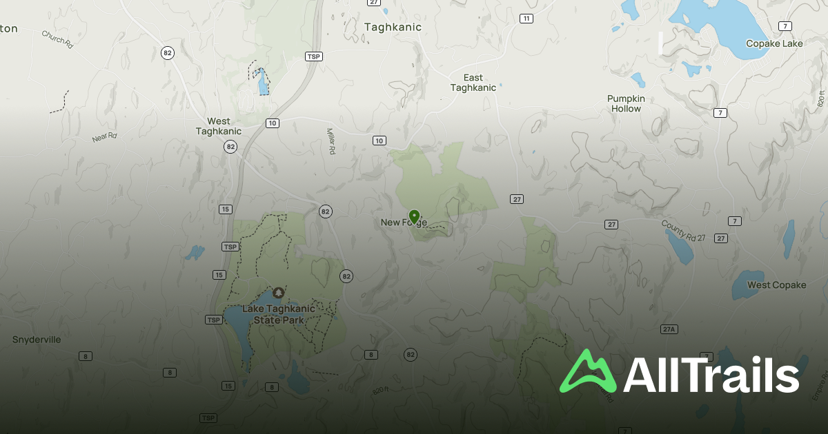 Best hikes and trails in New Forge State Forest | AllTrails