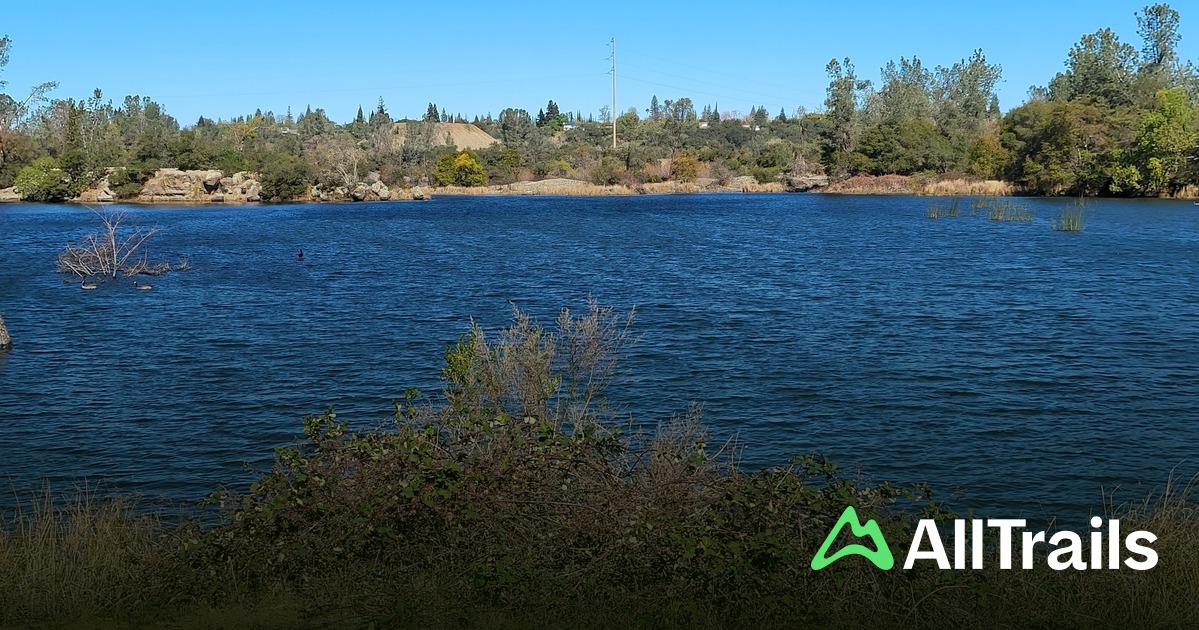 Willow Creek Recreation Area : les meilleures randonnées avec chiens en ...