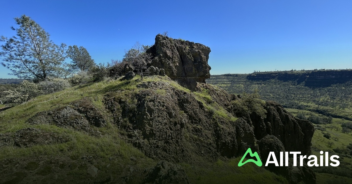 10 Best hikes and trails in Upper Bidwell Park | AllTrails