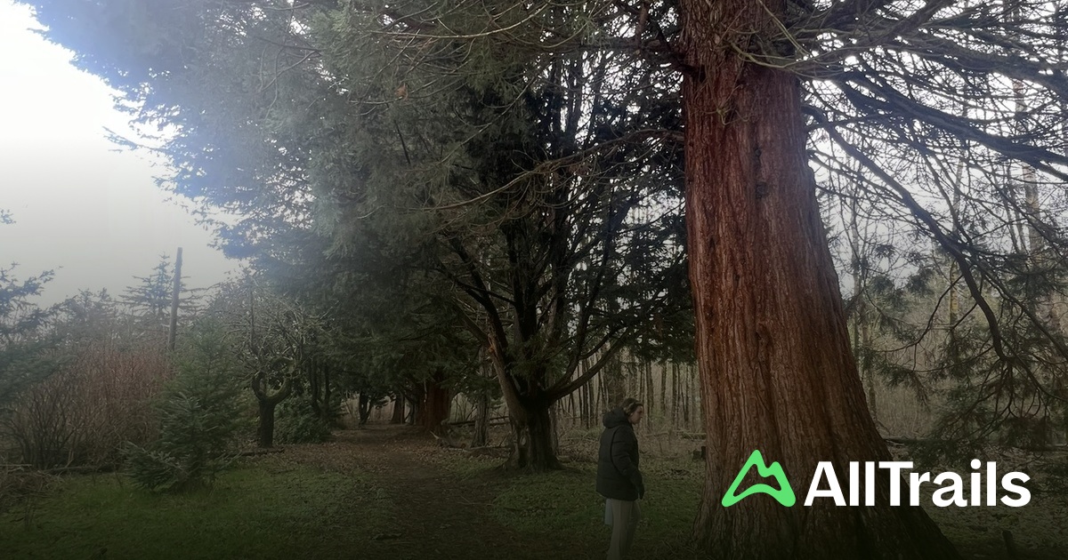 Best hikes and trails in Foster Floodplain Natural Area | AllTrails