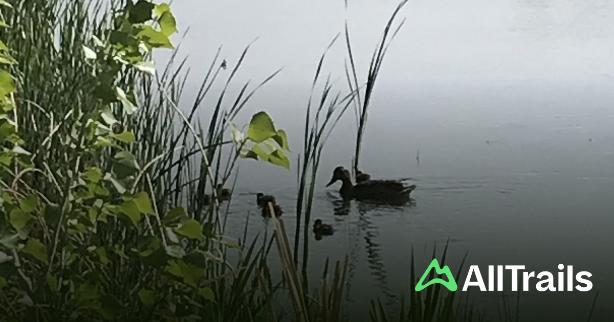 Best hikes and trails in Shiloh Conservation Area | AllTrails