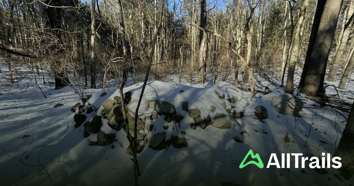 Best hikes and trails in Middleville State Game Area | AllTrails