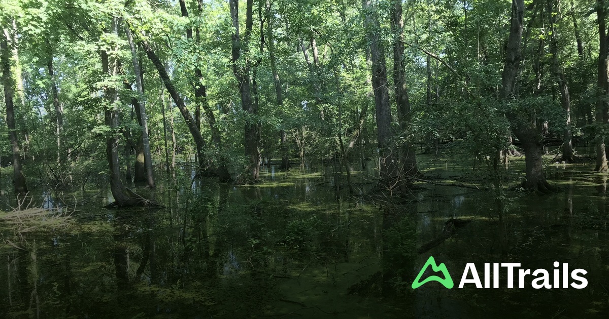 Best hikes and trails in Mingo National Wildlife Refuge | AllTrails
