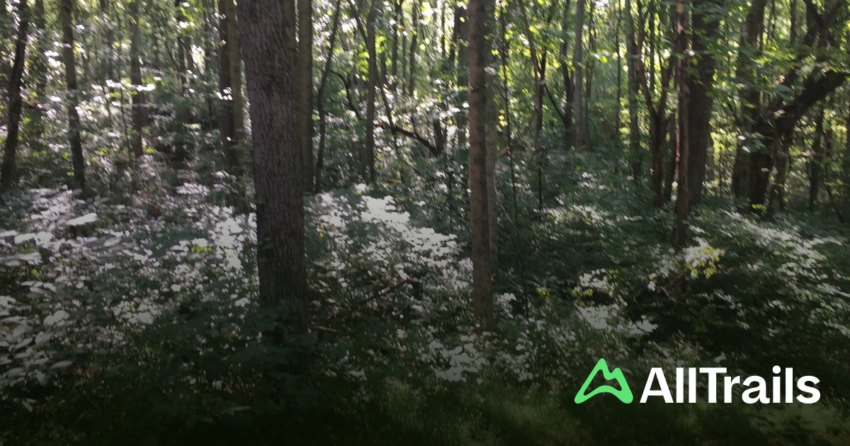 Best hikes and trails in Wildcat Mountain Natural Area | AllTrails