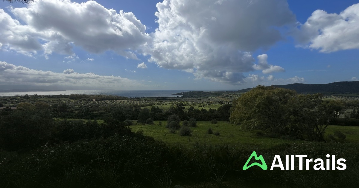 Parco Naturale Regionale di Porto Conte : les meilleures randonnées le ...