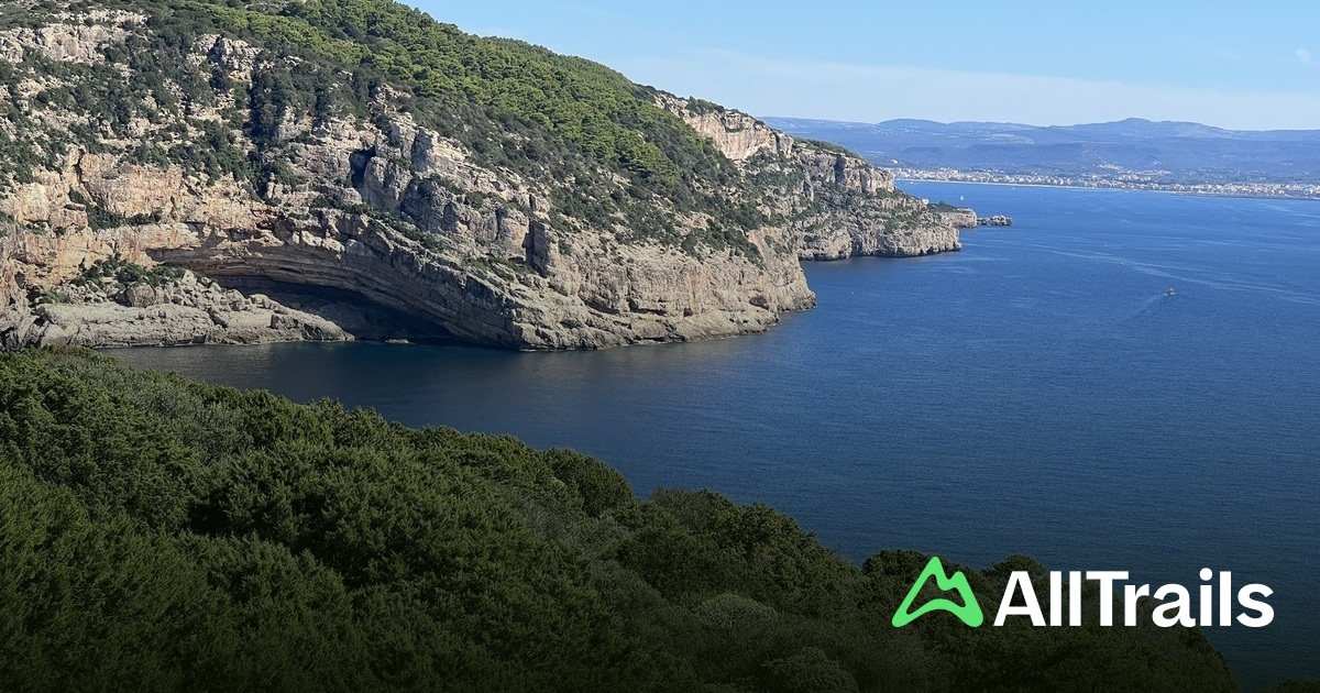 Best hikes and trails in Foresta Demaniale di Porto Conte | AllTrails