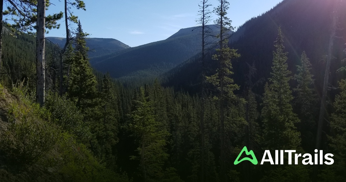 Best hikes and trails in Don Getty Wildland Provincial Park | AllTrails