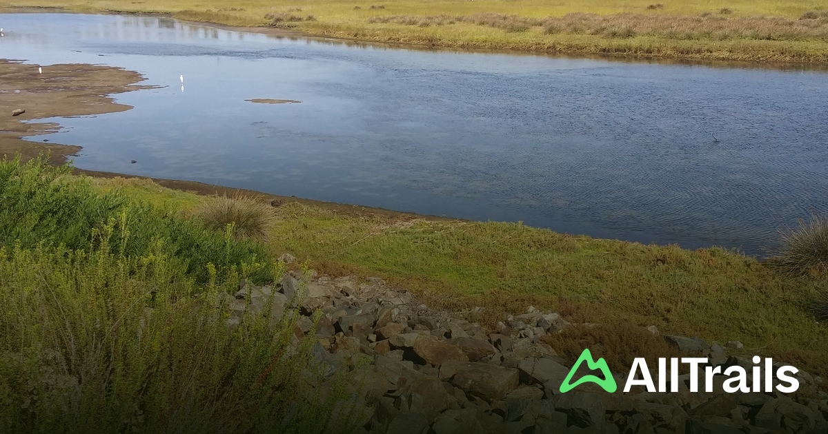 Dusty Rhodes Park: Die besten Routen zum Wandern | AllTrails