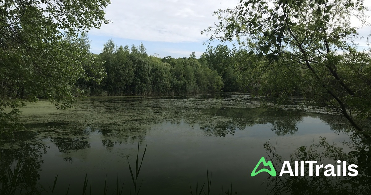 Best short trails in Haile Farm Preserve | AllTrails