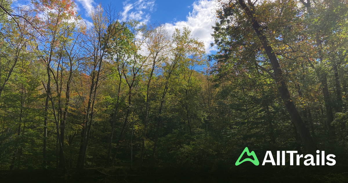 10 Best hikes and trails in Jockey Hollow Area | AllTrails