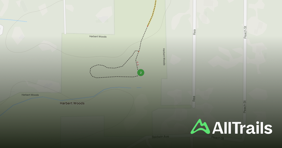 Best hikes and trails in Harbert Woods | AllTrails
