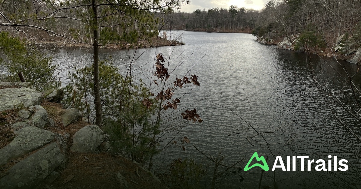 Best hikes and trails in Camp Shepard | AllTrails
