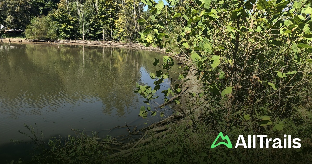 Best hikes and trails in Freeman Lake Park | AllTrails