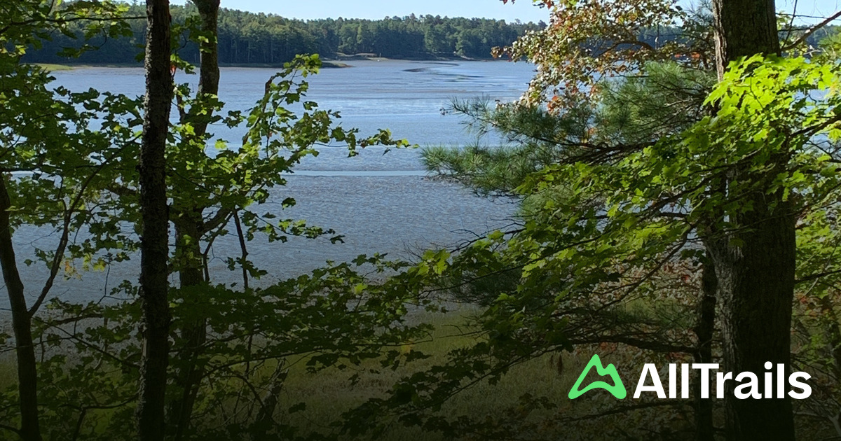 Best hikes and trails in Kate Furbish Preserve | AllTrails