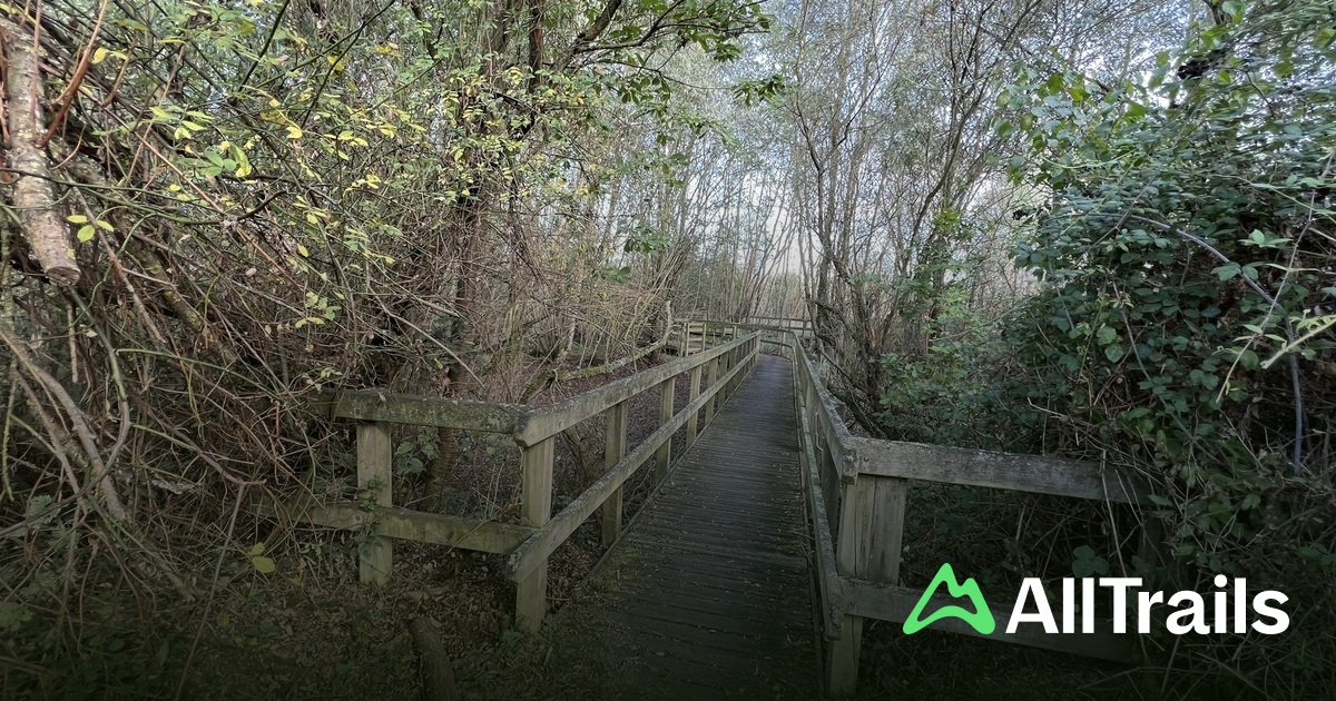 Best hikes and trails in Linford Lakes Nature Reserve | AllTrails