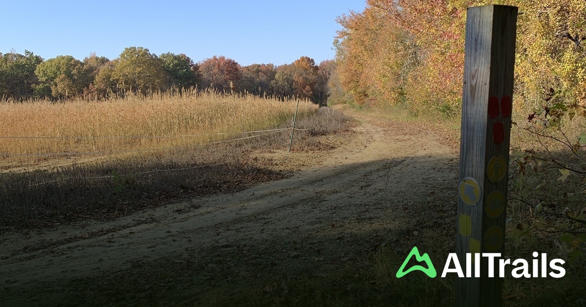 Best hikes and trails in Ireland Brook Conservation Area | AllTrails