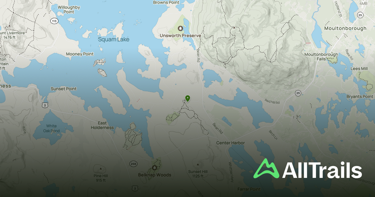 I migliori sentieri facili in Pine Hill Conservation Area | AllTrails