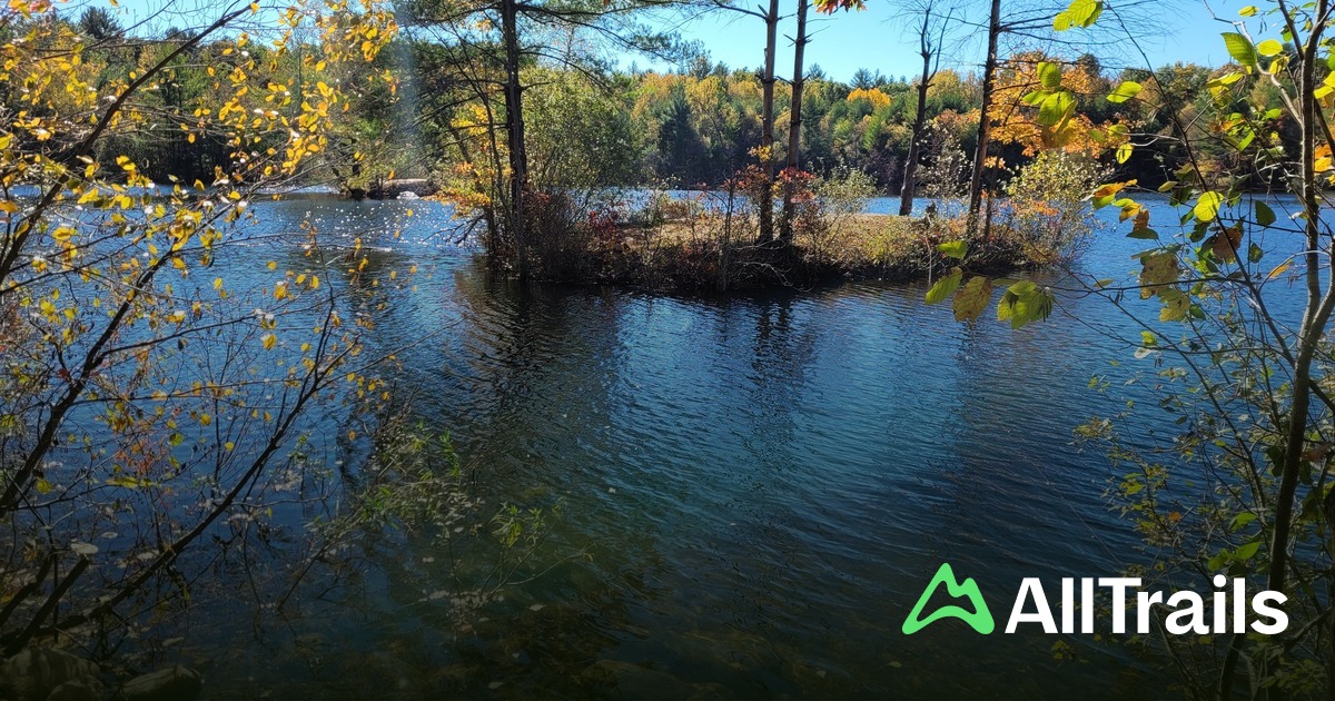 Best hikes and trails in Nashoba Brook Wildlife Sanctuary | AllTrails
