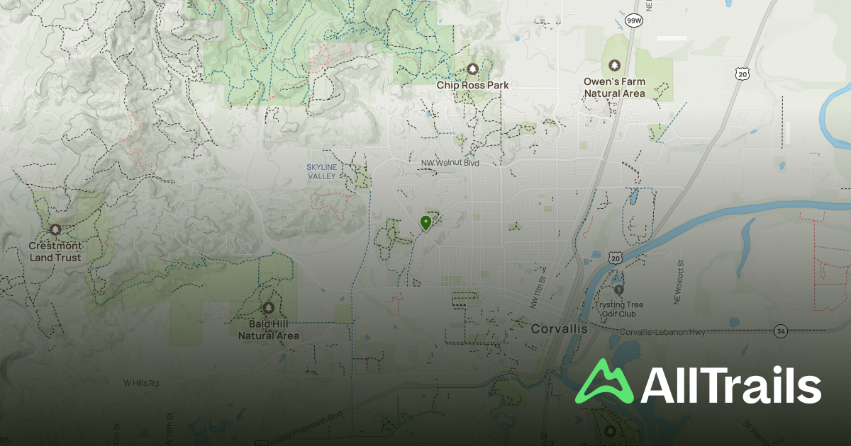 Best hikes and trails in Woodland Meadow Park | AllTrails