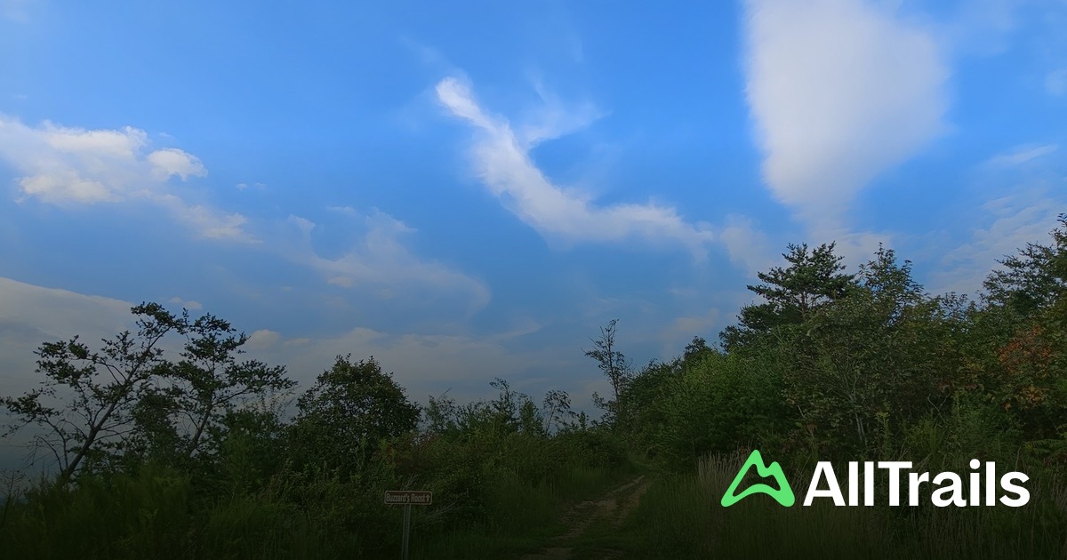 Best mountain biking trails in Rocky Face Ridge Park | AllTrails