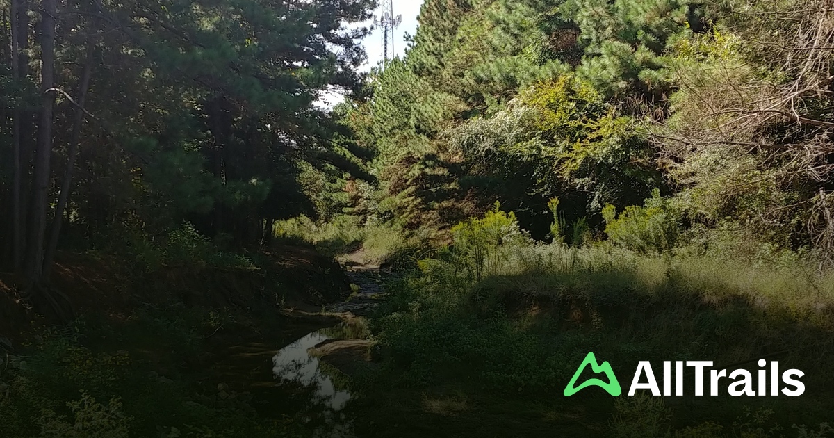 Best hikes and trails in Akin Park | AllTrails