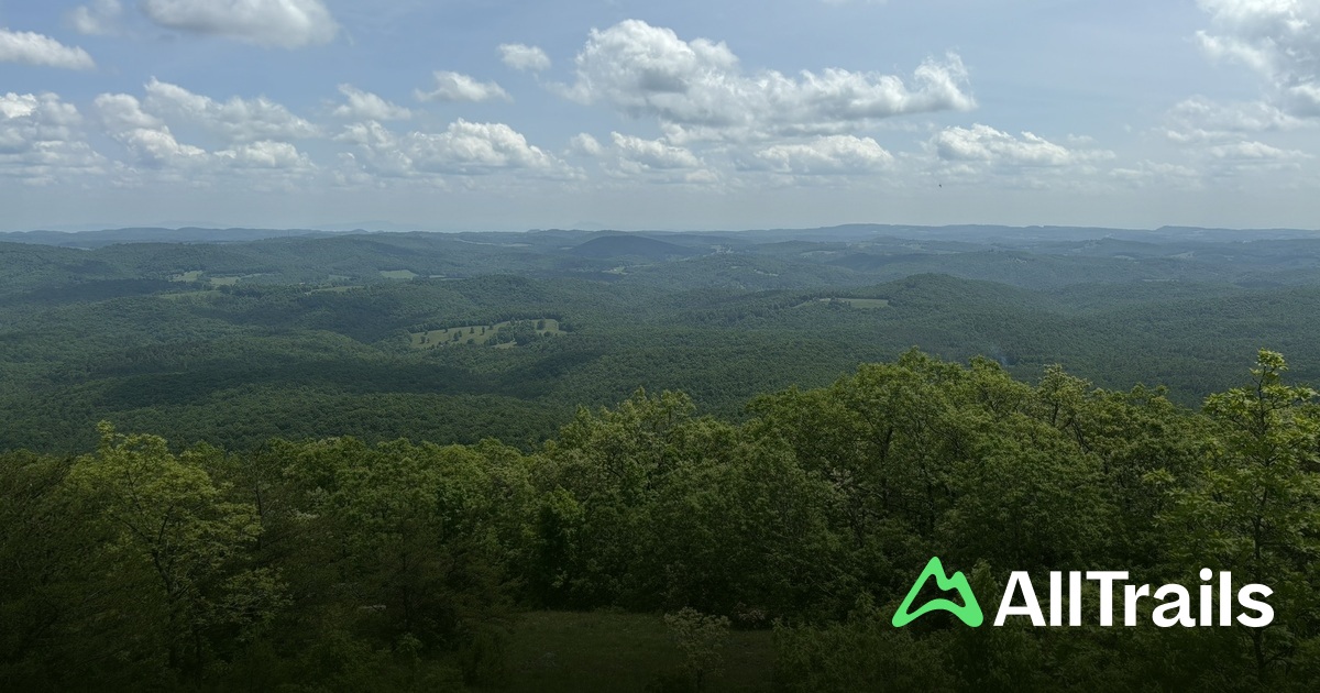 Buffalo Mountain Natural Area Preserve : les meilleures randonnées avec ...