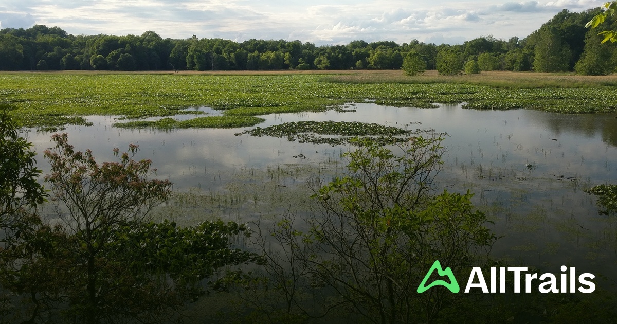Best hikes and trails in Oxbow Lake Nature Preserve | AllTrails