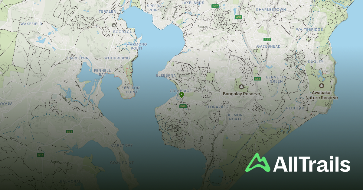 Best hikes and trails in Thomas H Halton Park | AllTrails