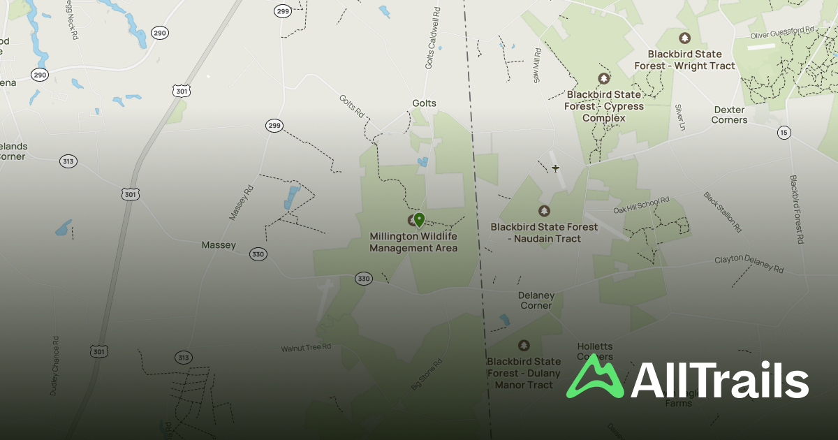 Best hikes and trails in Millington State Wildlife Management Area ...