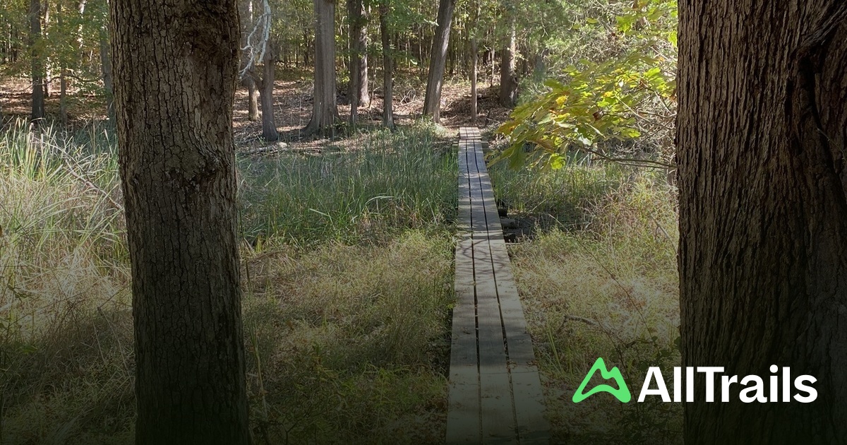 Best hikes and trails in Pickering Creek Audubon Center | AllTrails