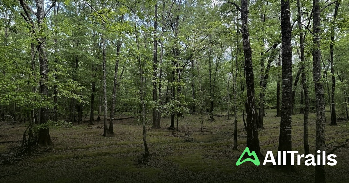 Best hikes and trails in Neches River National Wildlife Refuge | AllTrails