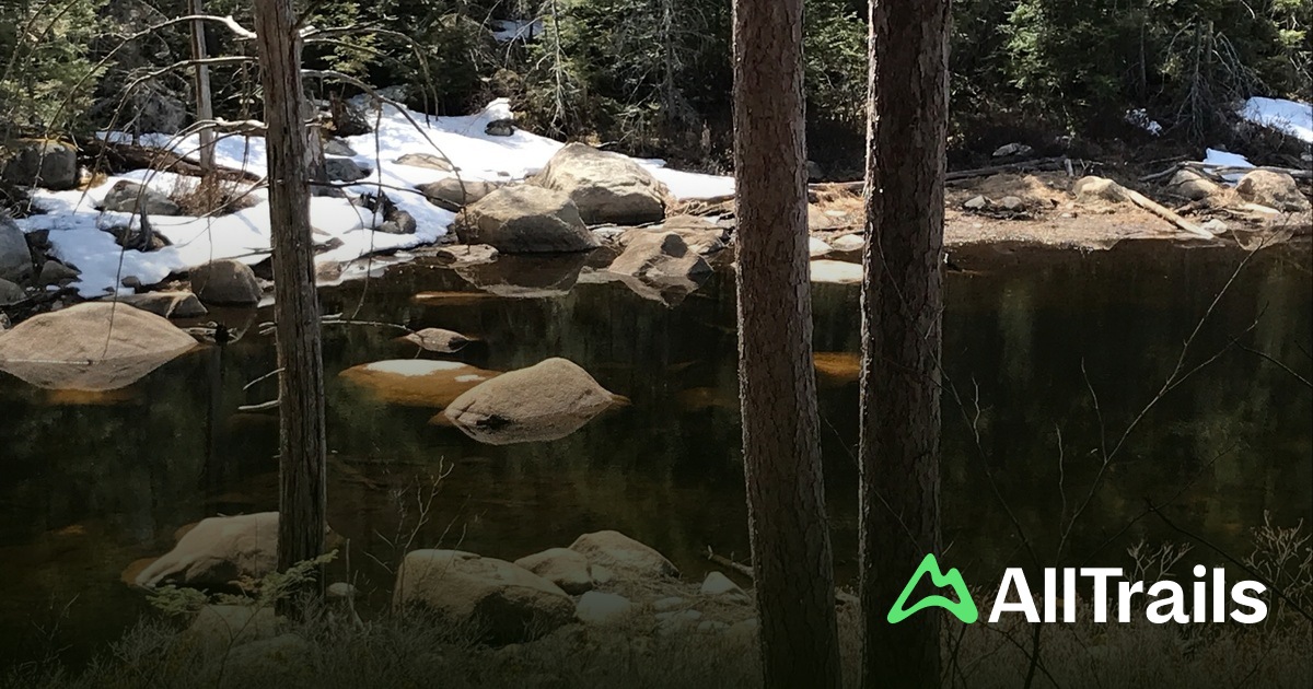 Bedste ruter med snesko i Rockwell Sanctuary | AllTrails