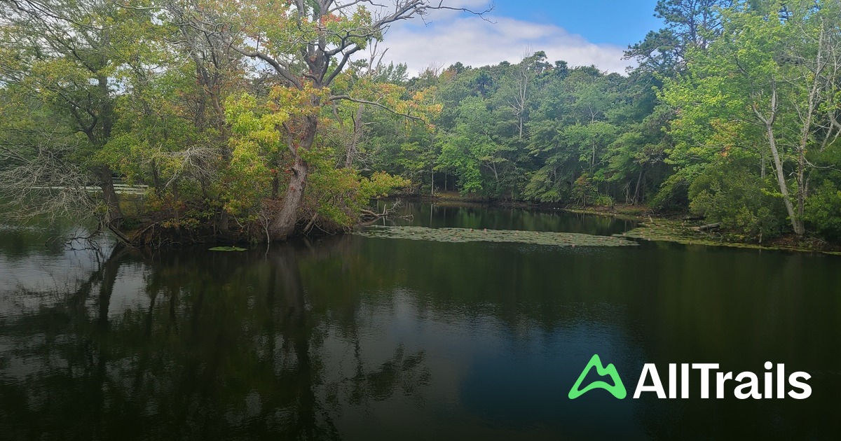 Best hikes and trails in Cameron's Wildlife Sanctuary | AllTrails