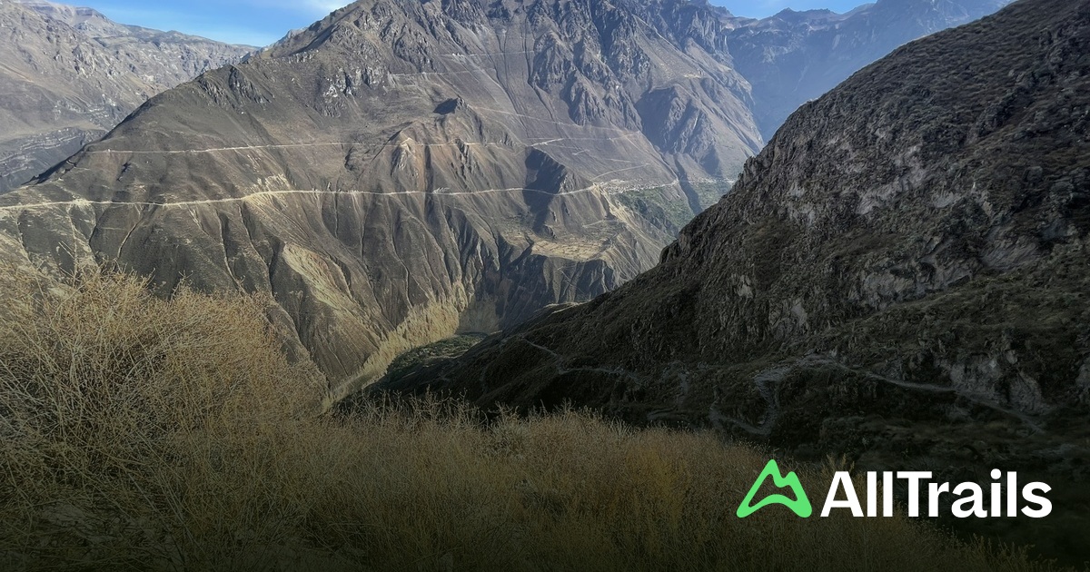 Best forest trails in Geoparque Colca y Volcanes de Andagua | AllTrails